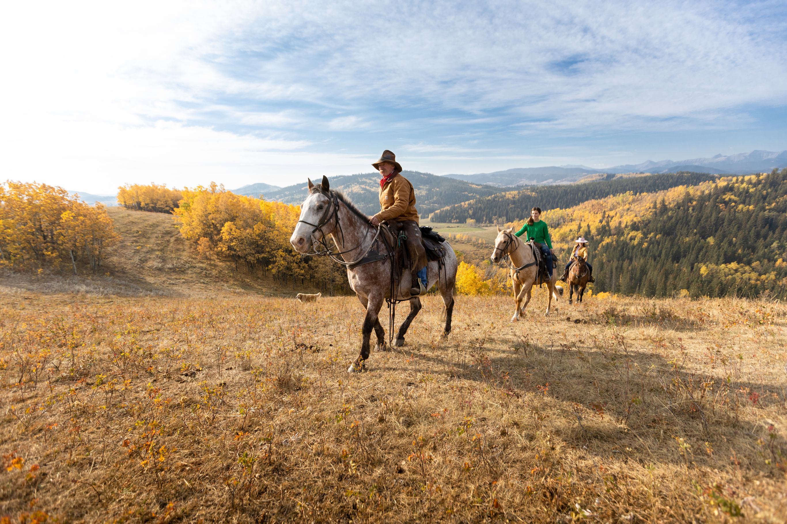Foothills | Canada's Alberta