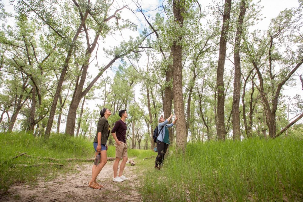 Lethbridge | Canada's Alberta