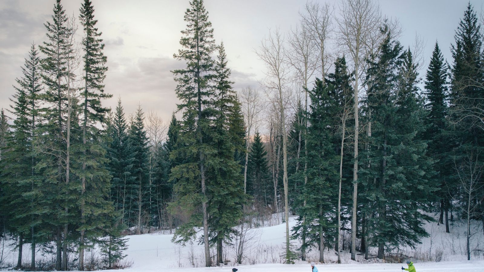 Warm Up to a Winter Escape in the Prairie Town of Vermilion | Alberta ...