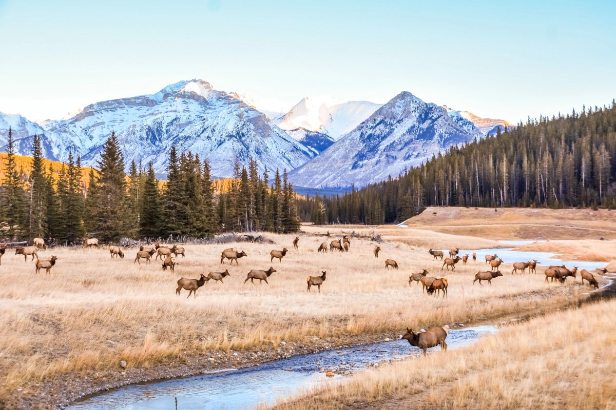 Welcome to Canada's Alberta | Canada's Alberta