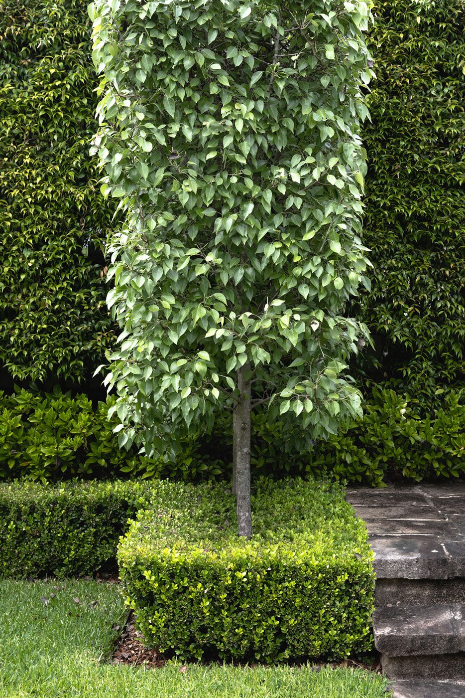 Killara West | GOODMANORS