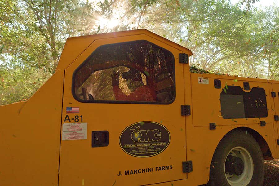 Minturn Nut Company | Welcome