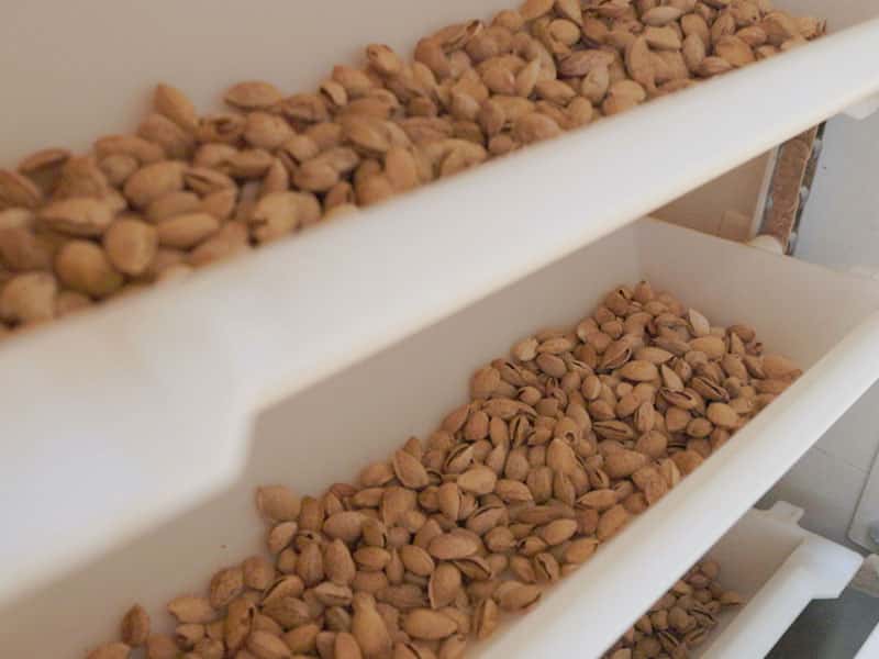 Minturn Nut Company | Welcome