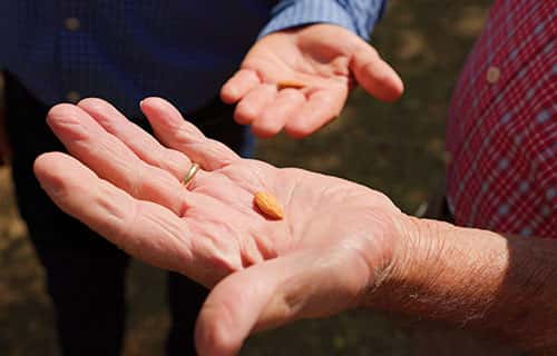 Minturn Nut Company | Welcome