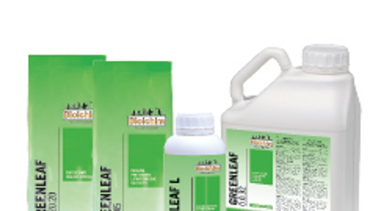 GREENLEAF 0-7-37 | The Bud Group