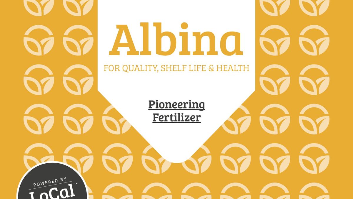 Albina | The Bud Group