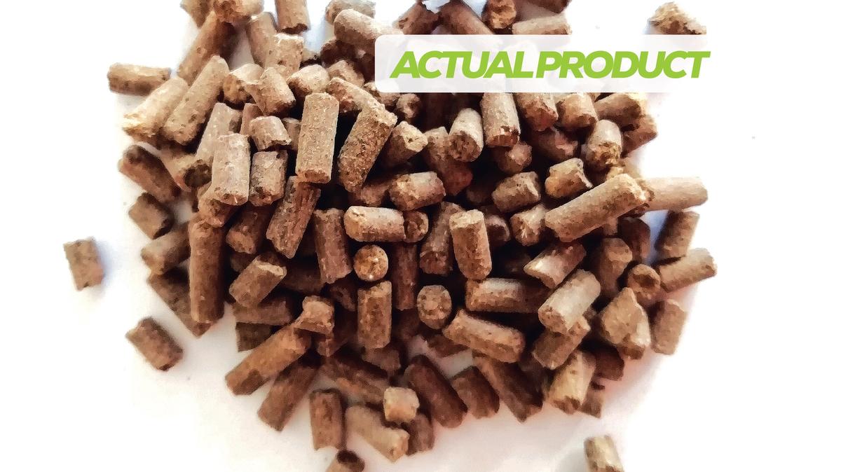 PROTAMIN 7.2.12 | The Bud Group