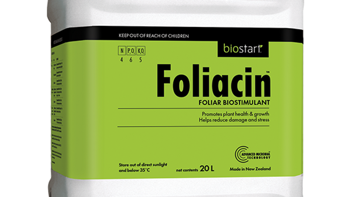 Foliacin | The Bud Group