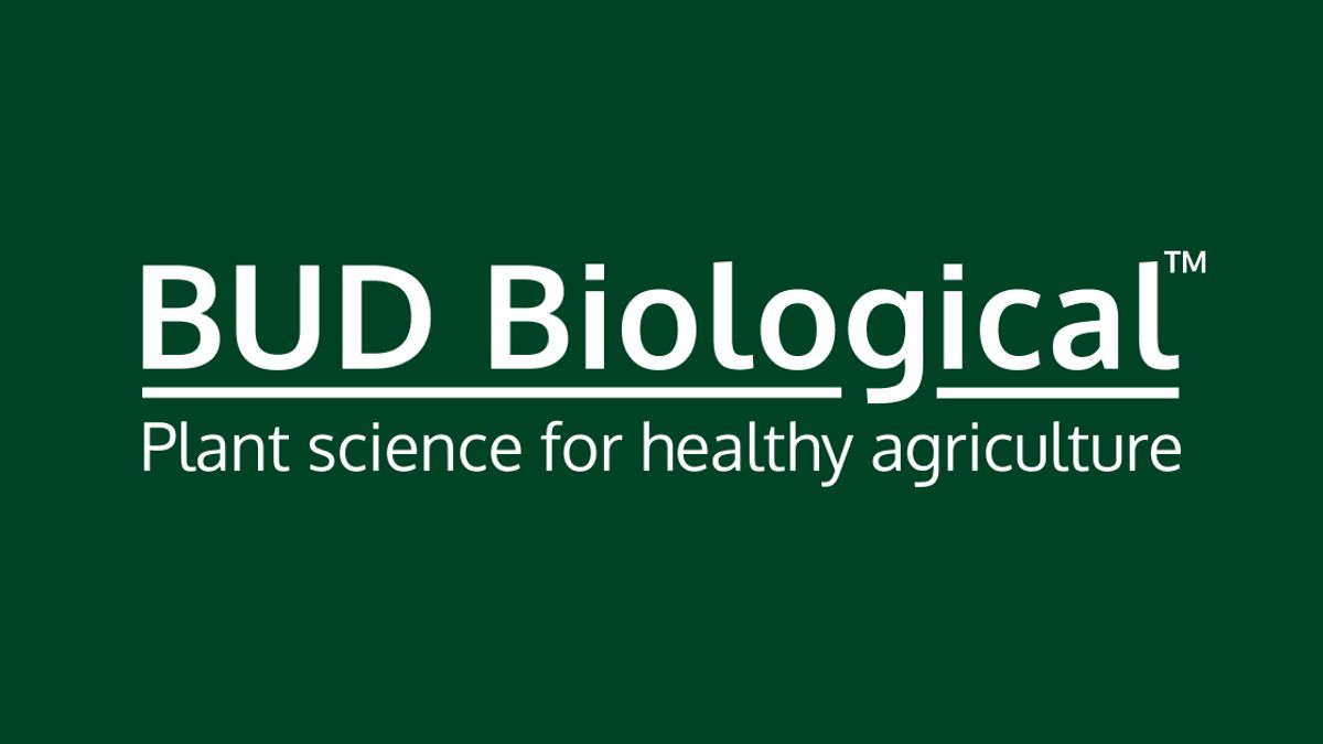 Products | The Bud Group