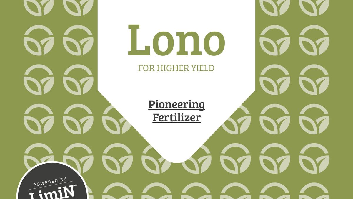 Lono | The Bud Group