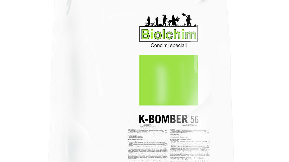 K-BOMBER 46 | The Bud Group