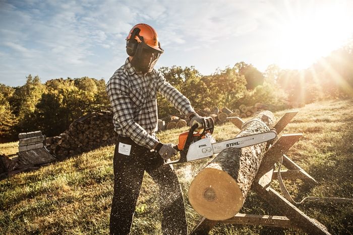 Stihl ms170 rollomatic mini store