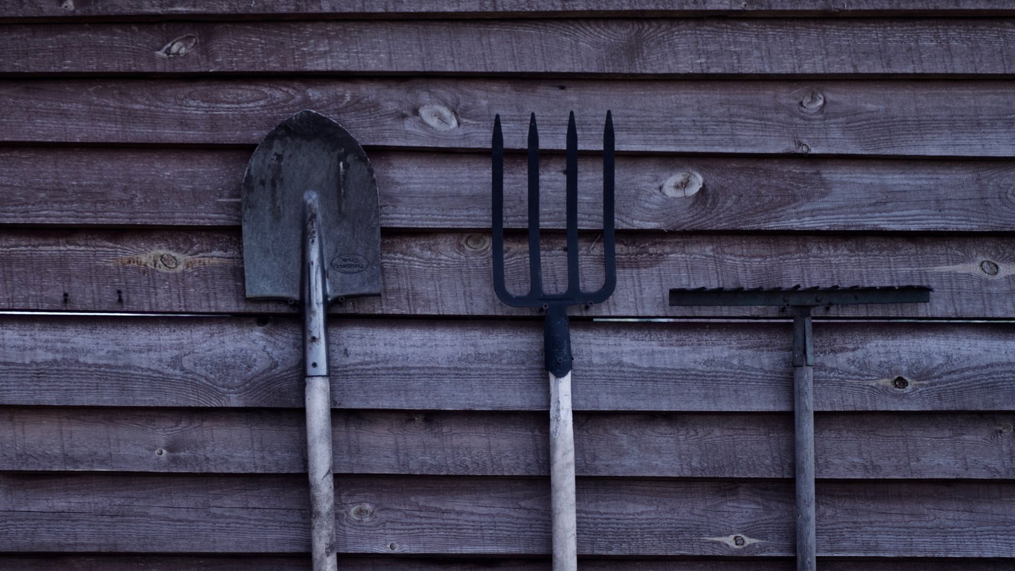 The Model for Christian Manhood: Introduction | Modern Reformation