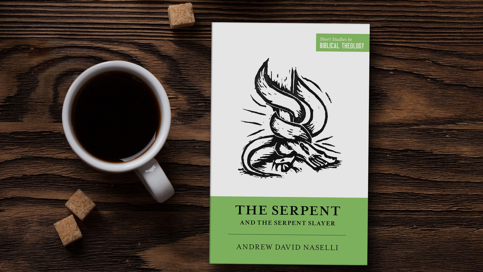 “The Serpent and the Serpent Slayer,” by Andrew Davis Naselli | Modern ...
