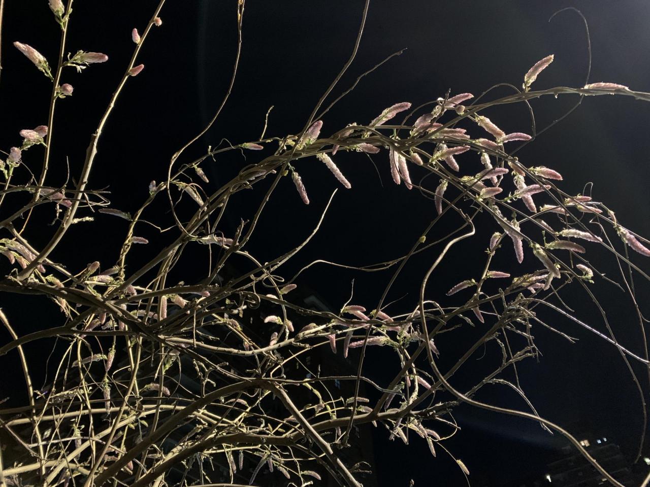 The Downward Spiral: As I Read the Decade Brain | Spike Art Magazine