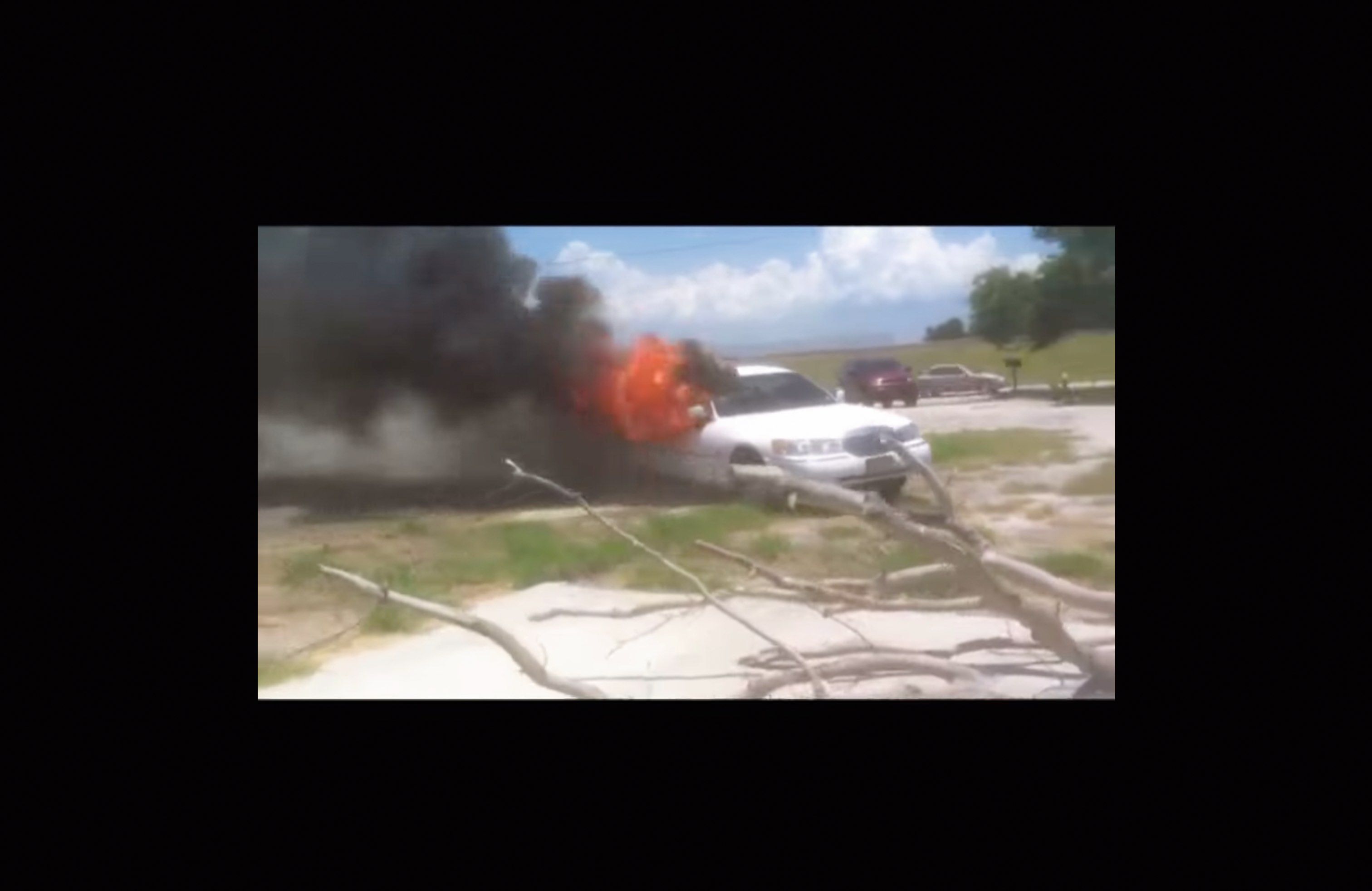 The Shocks Are Not Shocking | Spike Art Magazine