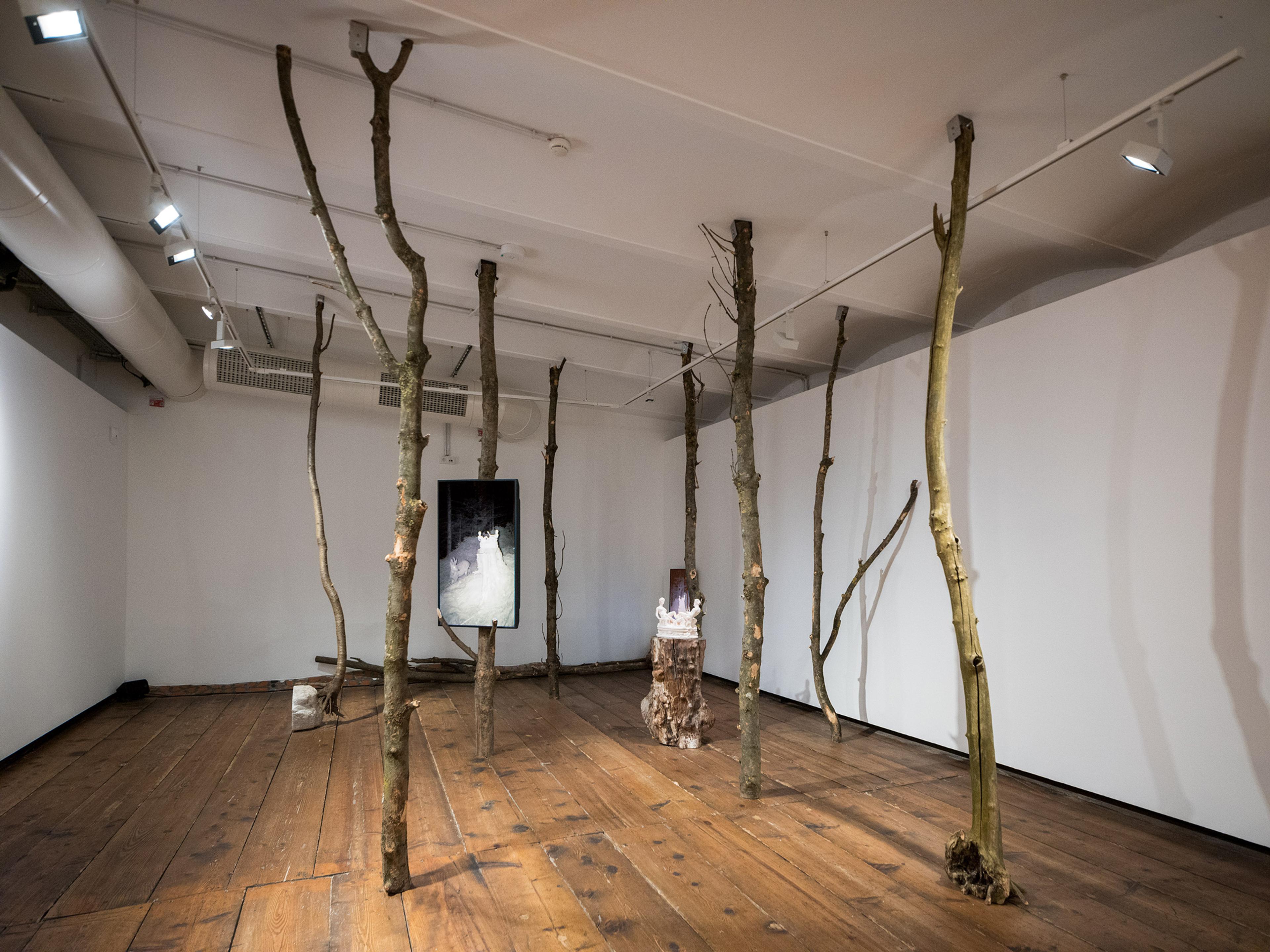 Review: Klima Biennale Wien | Spike Art Magazine