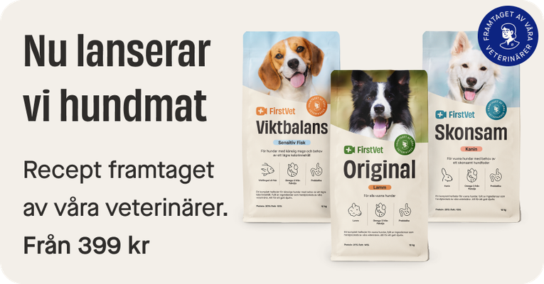 Furunkulos hos hund | FirstVet