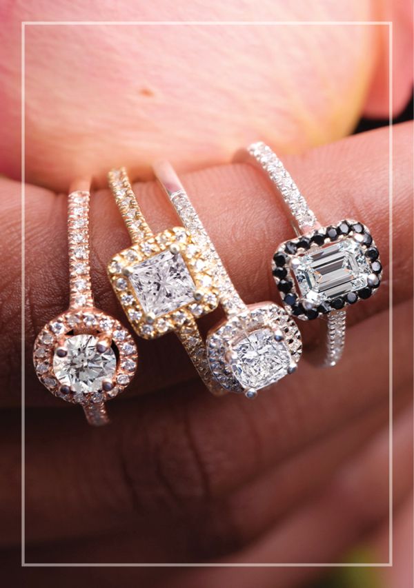 Radiant Star Collection | Sterns