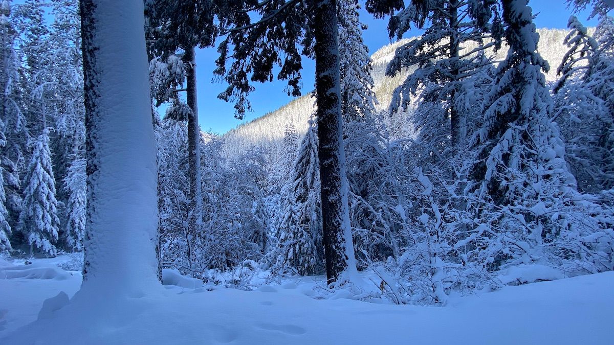 Lynn's Snow-capades: Snowmageddon 2023, the Finale (Part 1 of 2)