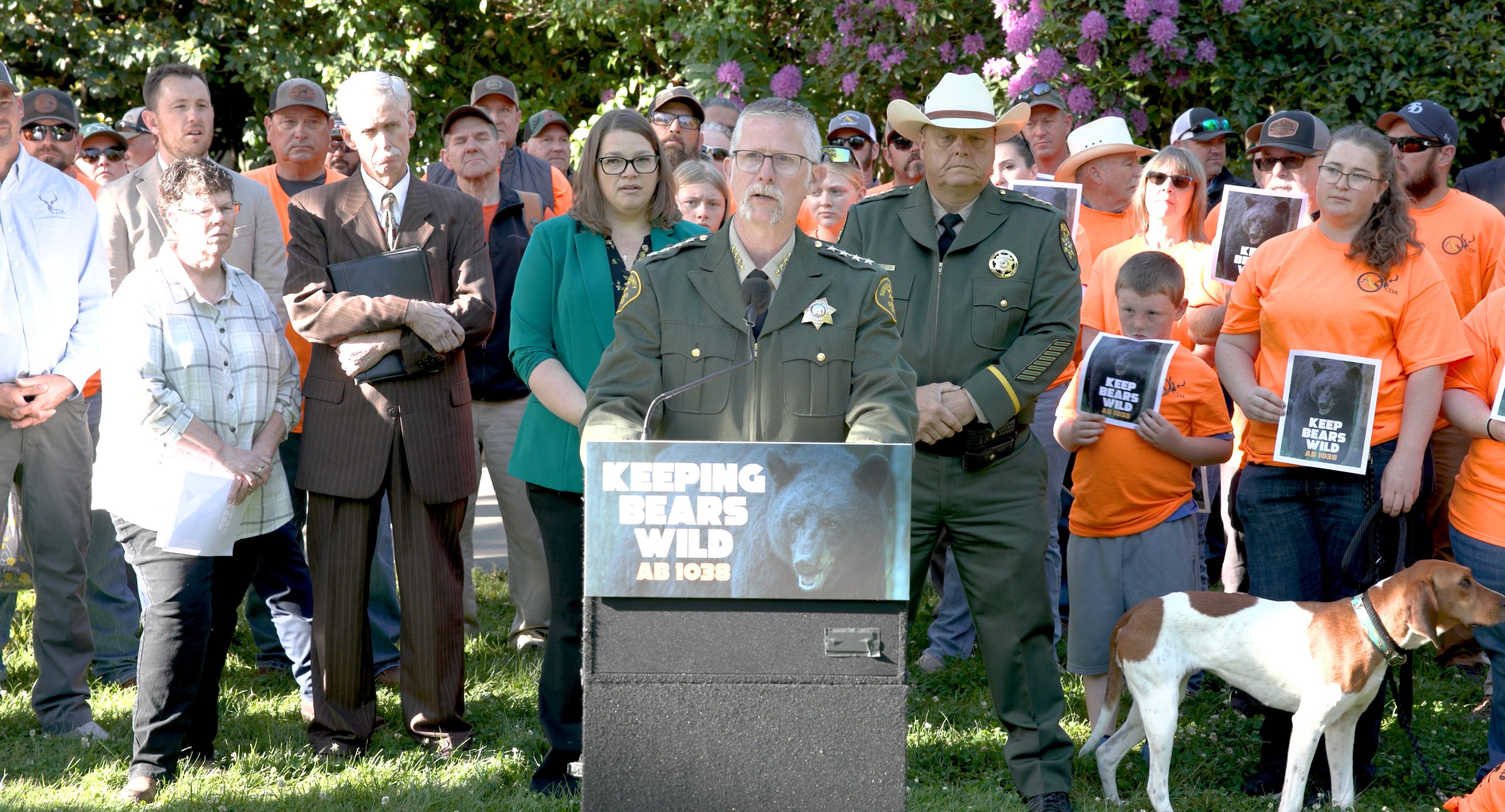 “Keeping Bears Wild” Rally Promotes Bear Hazing Bill | The Mountain ...