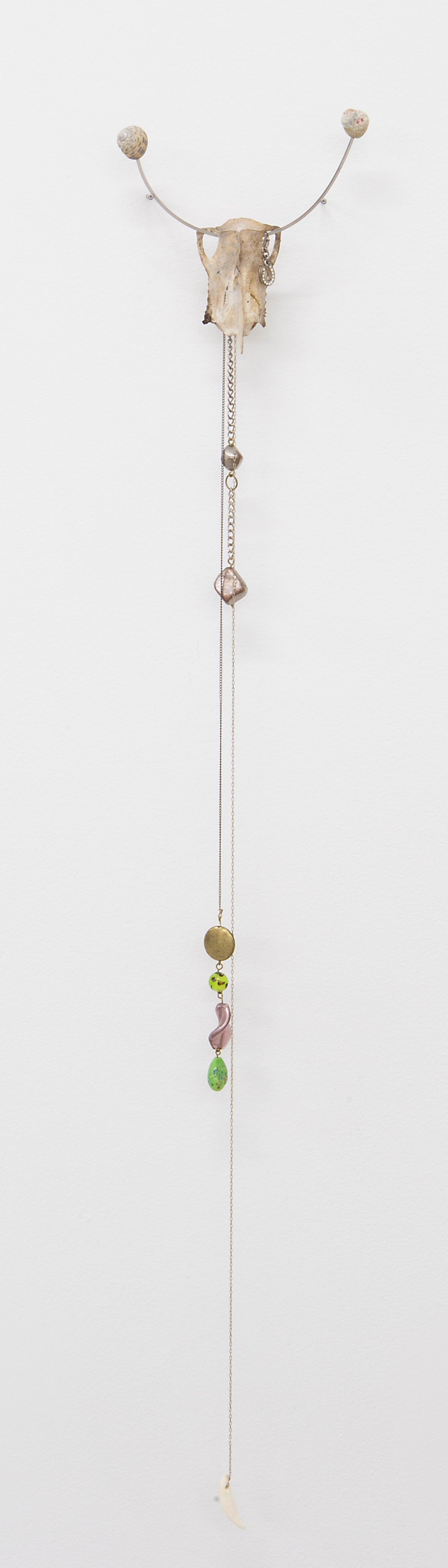 Tissue | Company Gallery