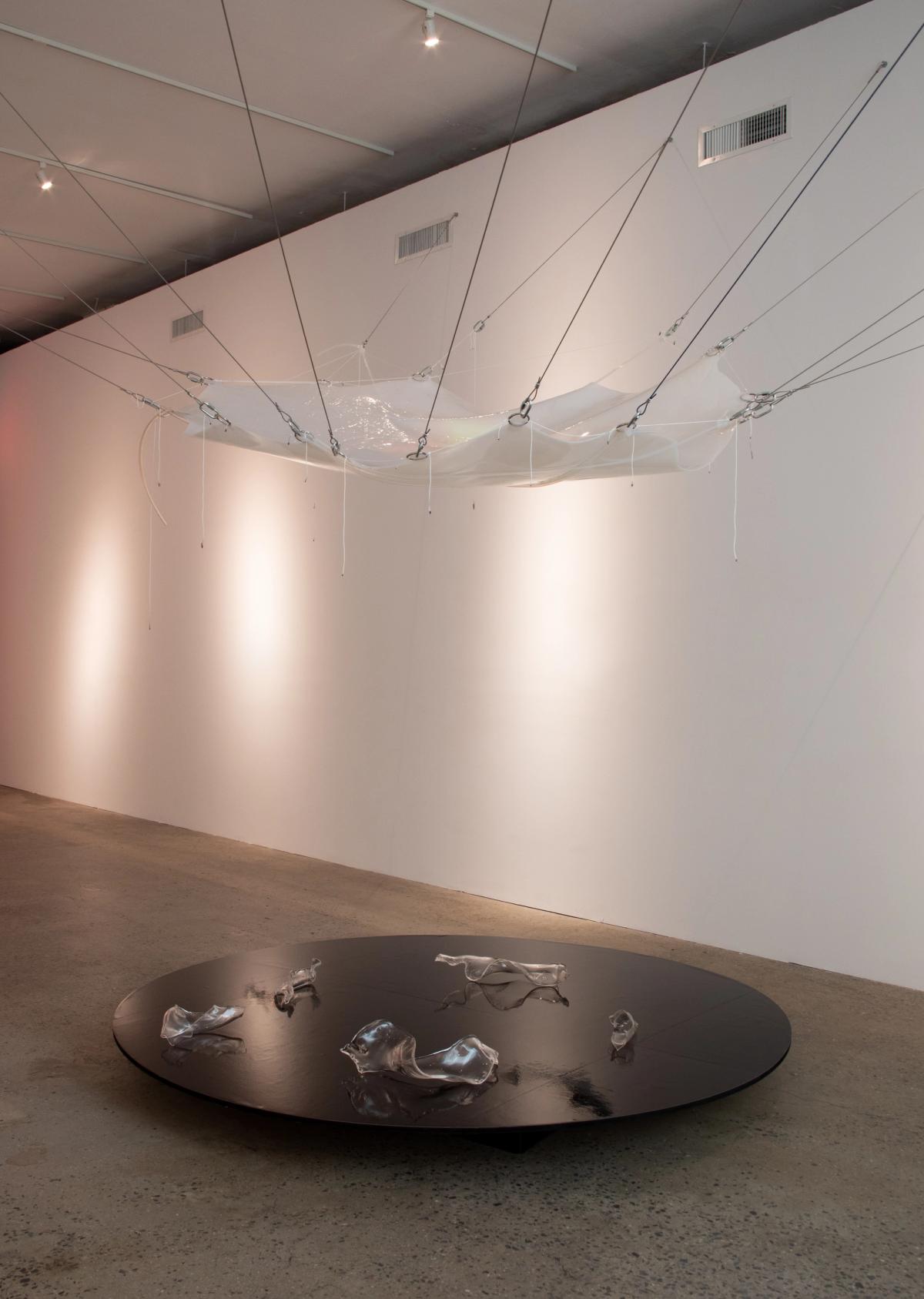 Transmutation | Company Gallery