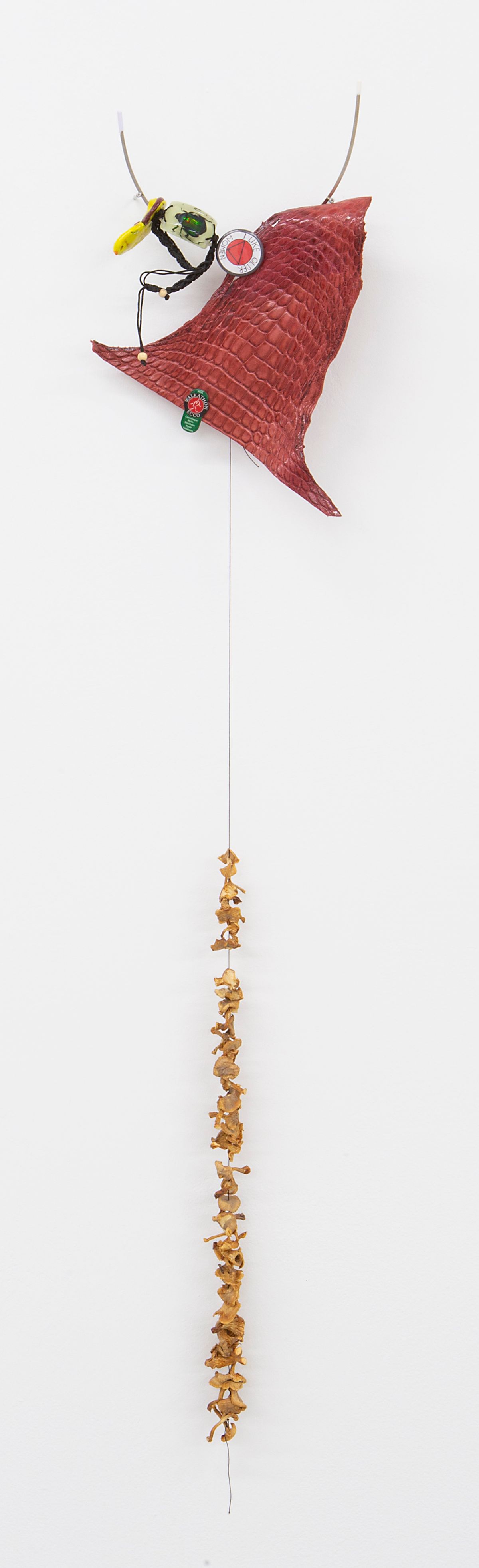Tissue | Company Gallery