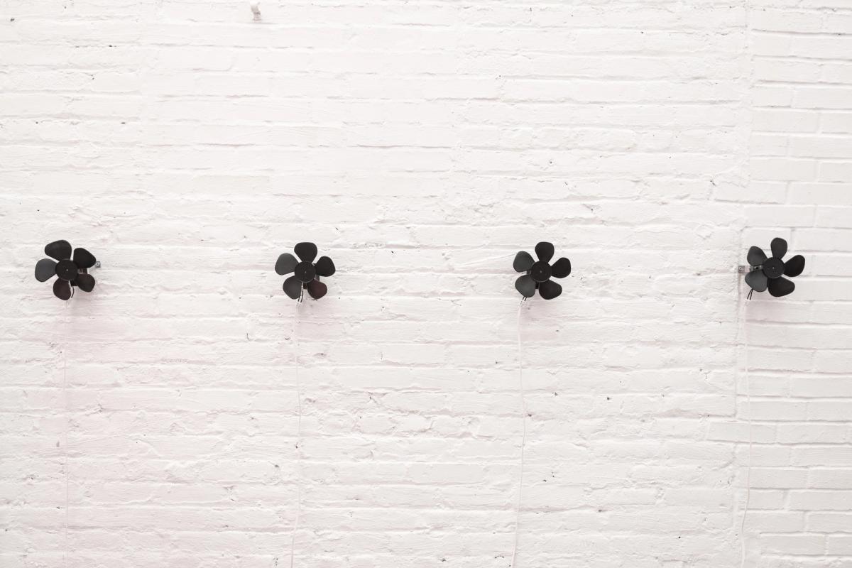 TETRAPHOBIA | Company Gallery