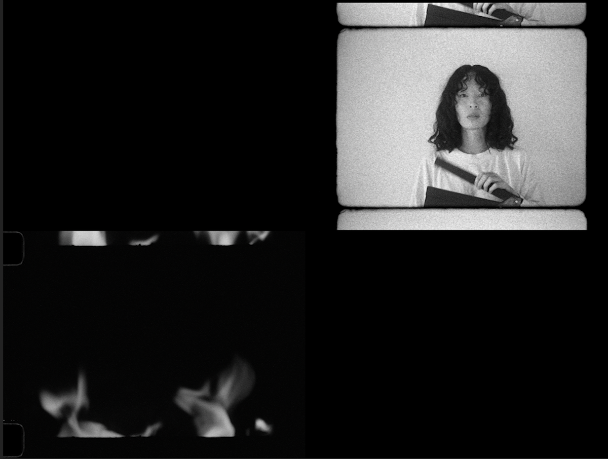 TETRAPHOBIA | Company Gallery