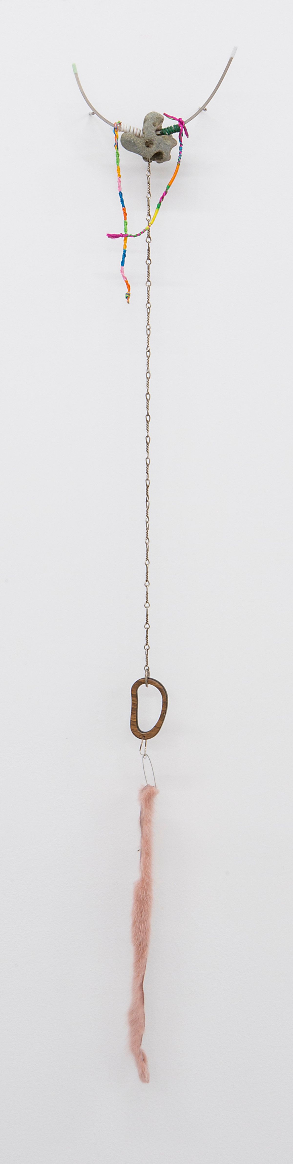 Tissue | Company Gallery