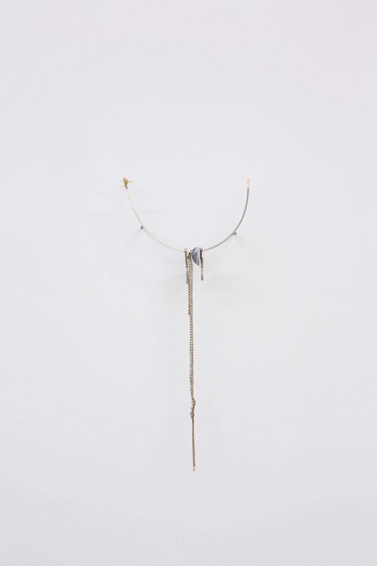 Tissue | Company Gallery