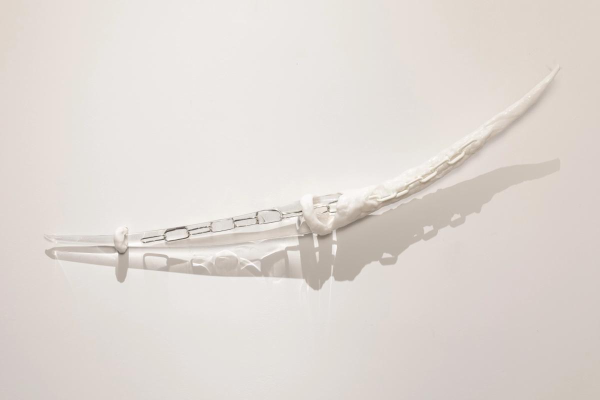 Transmutation | Company Gallery