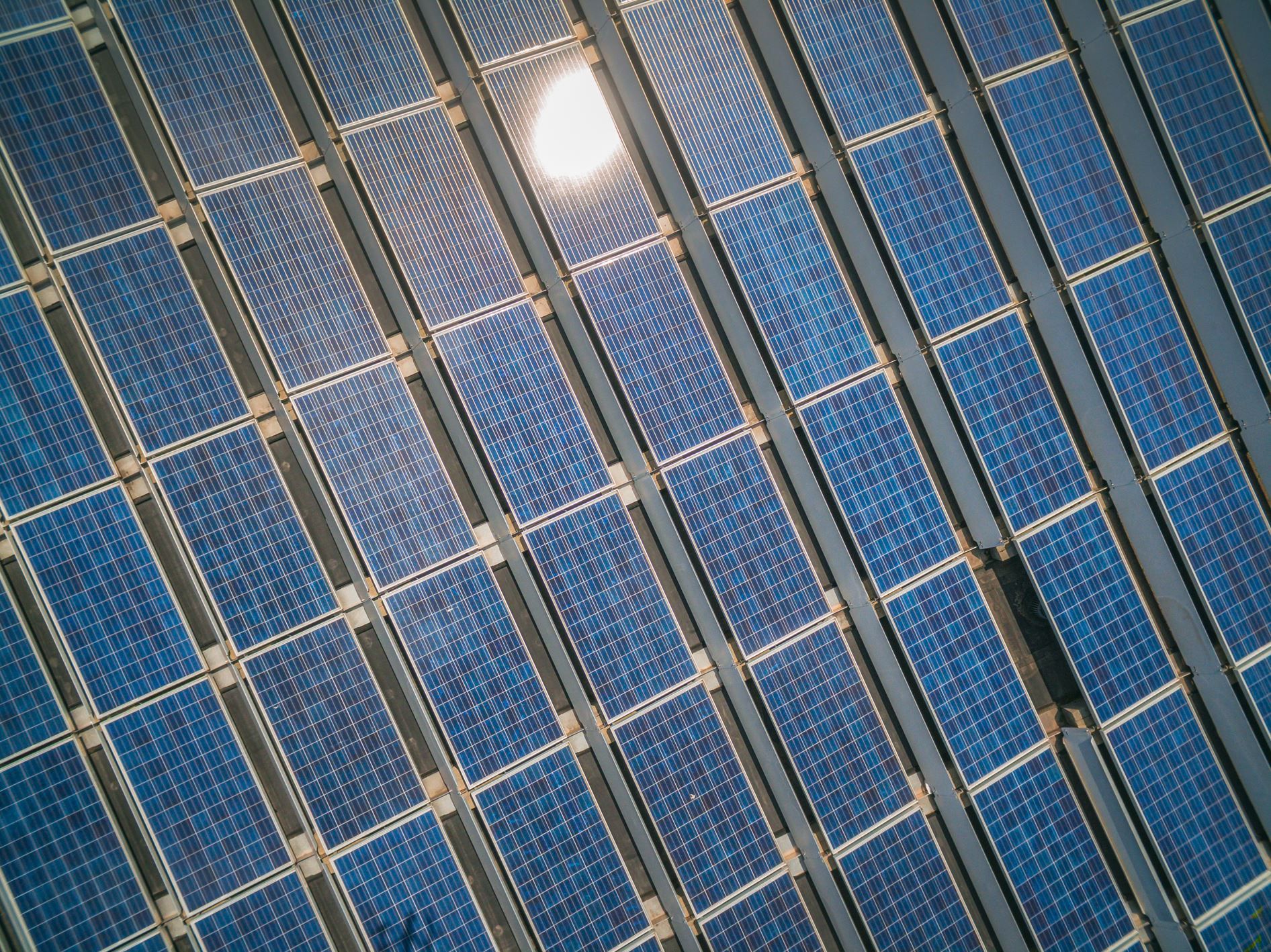 Nexamp - We're Building the Future of Clean Energy