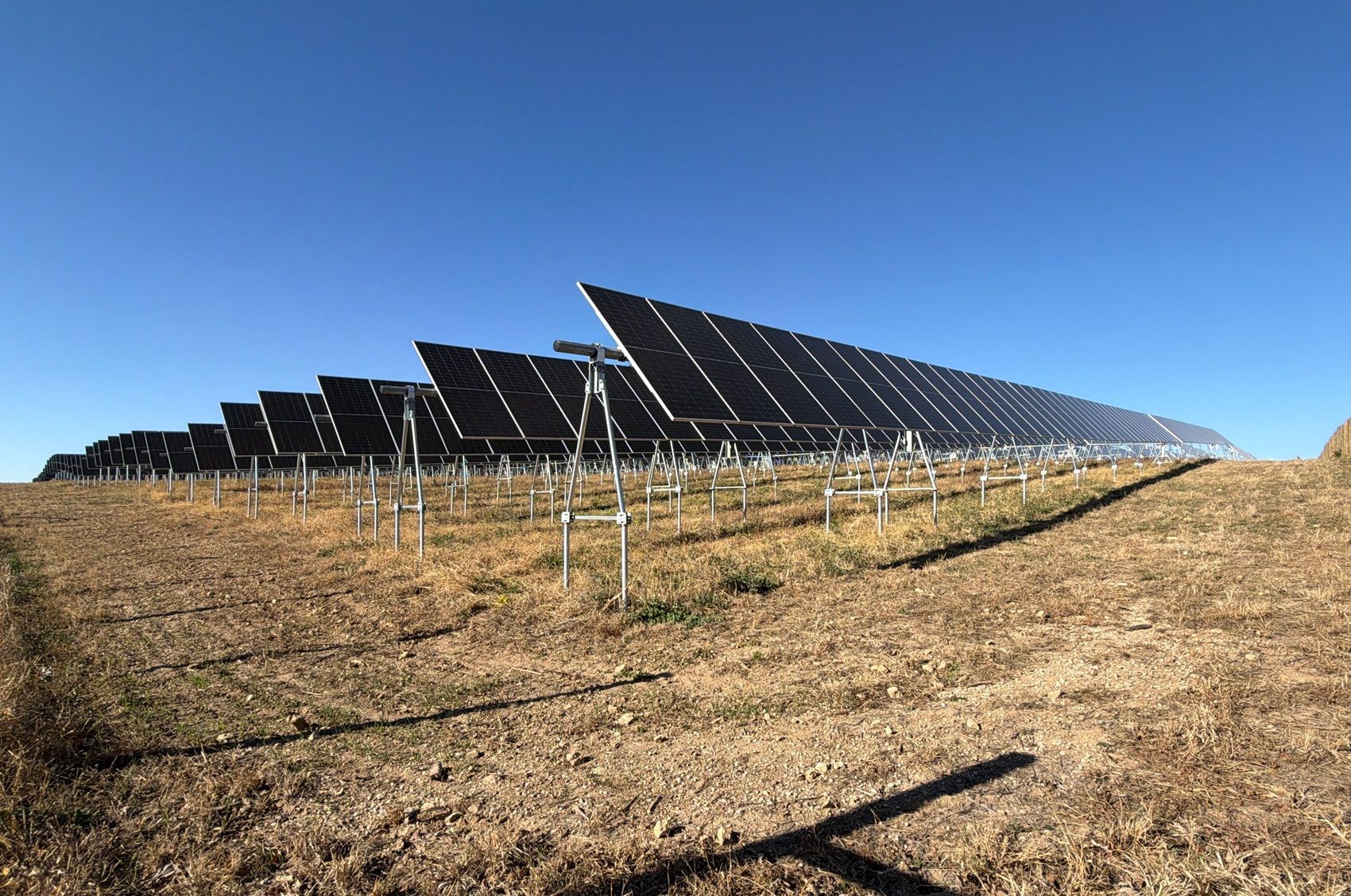 Leaf River Solar