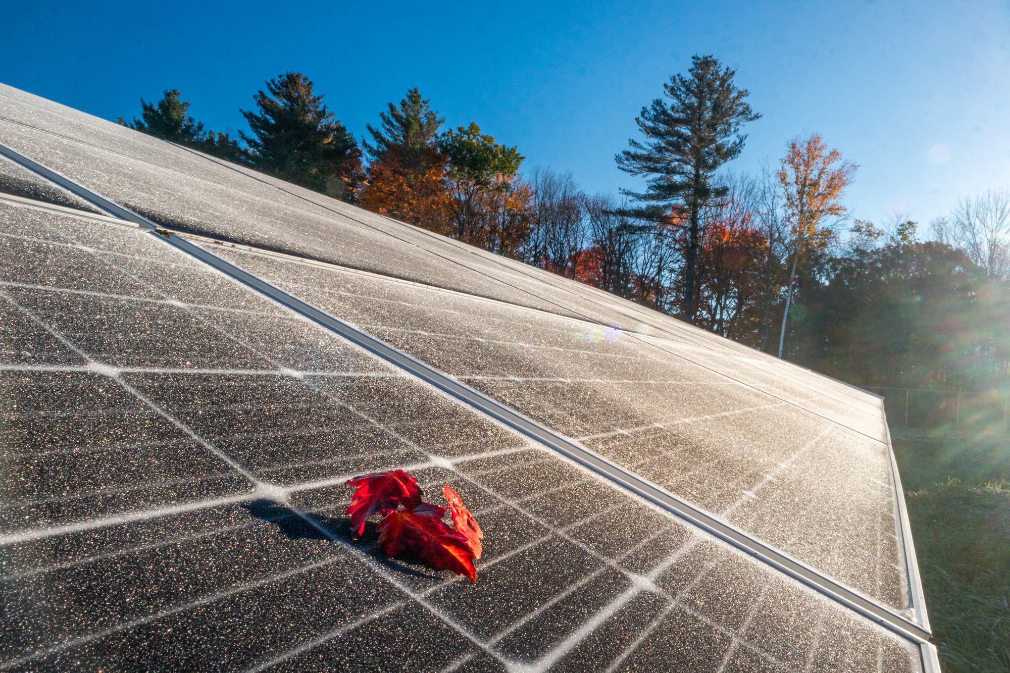 Nexamp - We're Building the Future of Clean Energy