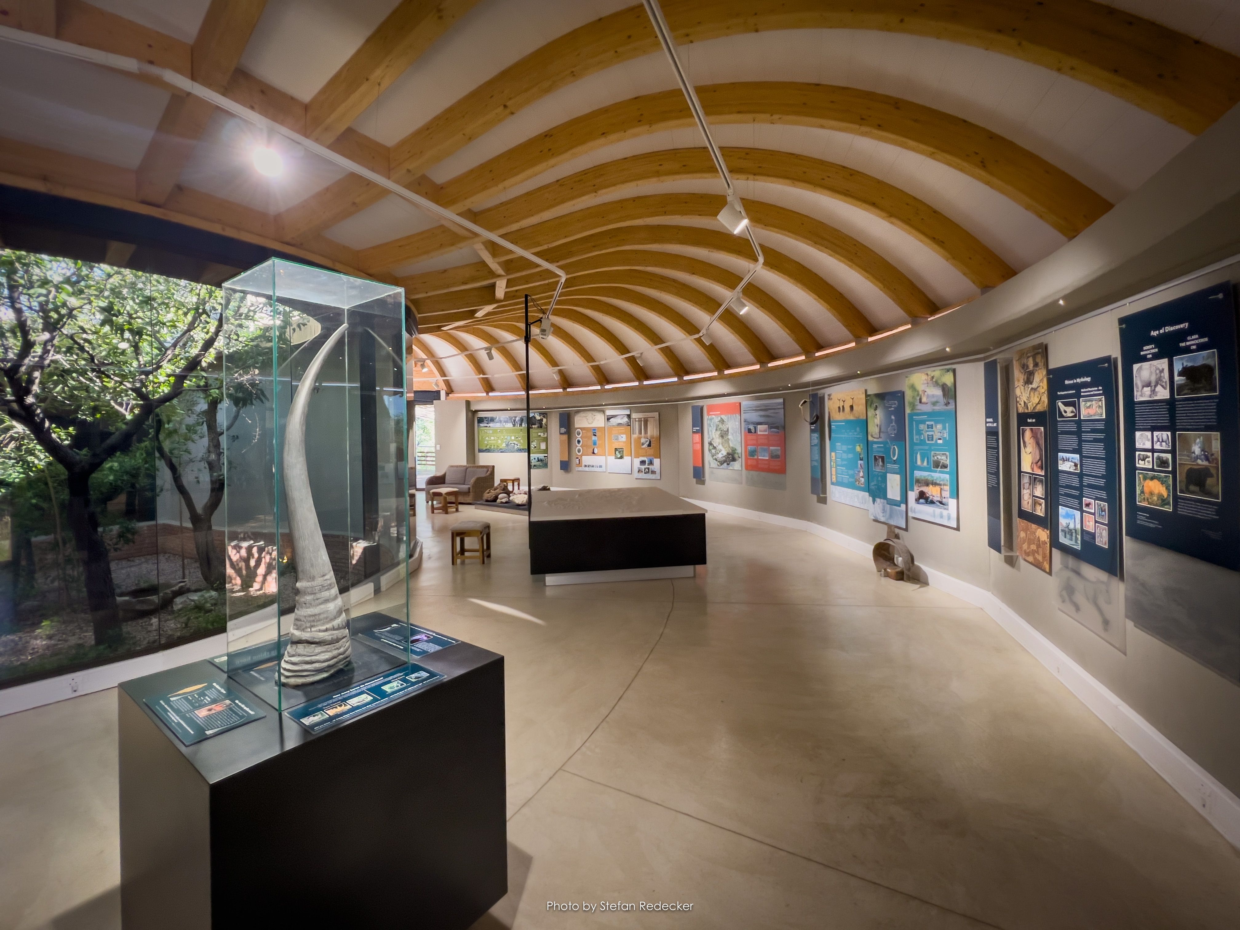 Visit Ongava Discovery Center: A Journey into Nature's Marvels