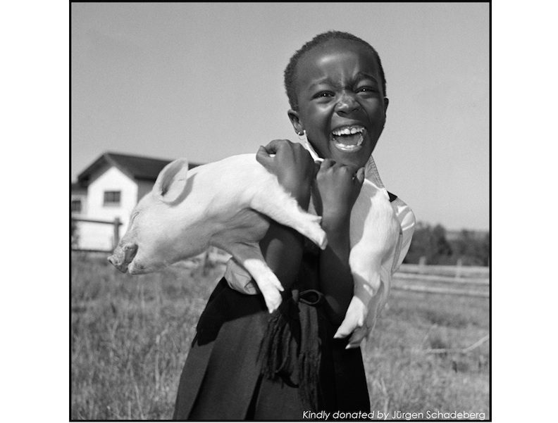 LES IS MORE CAMPAIGN: FINE ART AND PHOTOGRAPHY AUCTION TO RAISE FUNDS ...