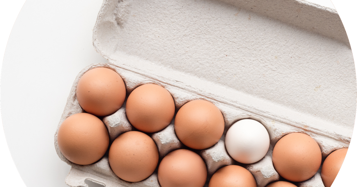 Molded Fiber Egg Cartons | TekniPlex | TekniPlex