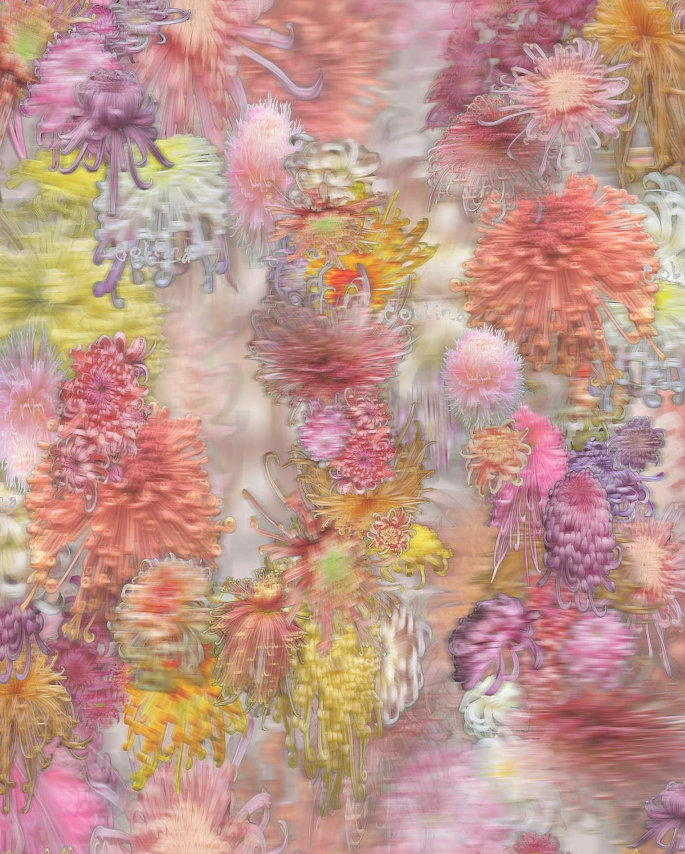 BAGGU | Collina Strada Collab