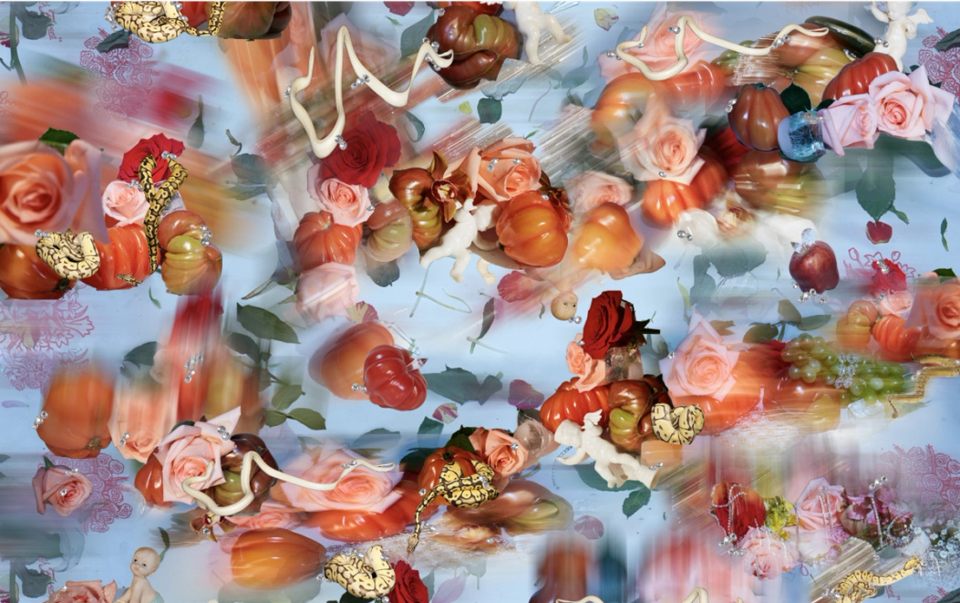 BAGGU | Collina Strada Collab