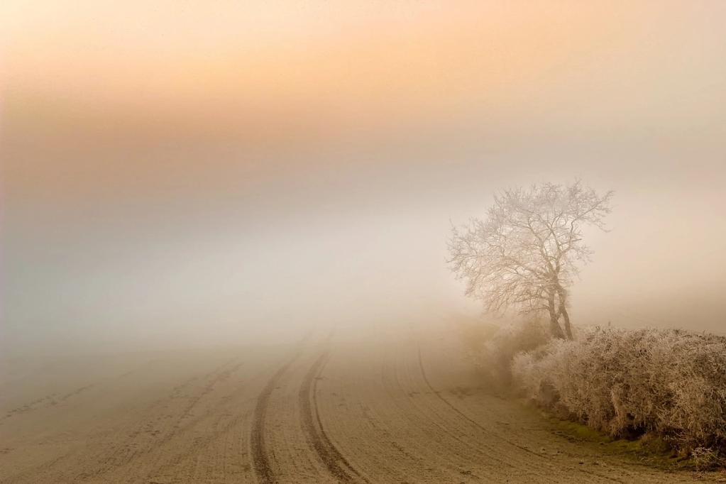 Blunt the sharpness, soften the glare. | Cafeausoul