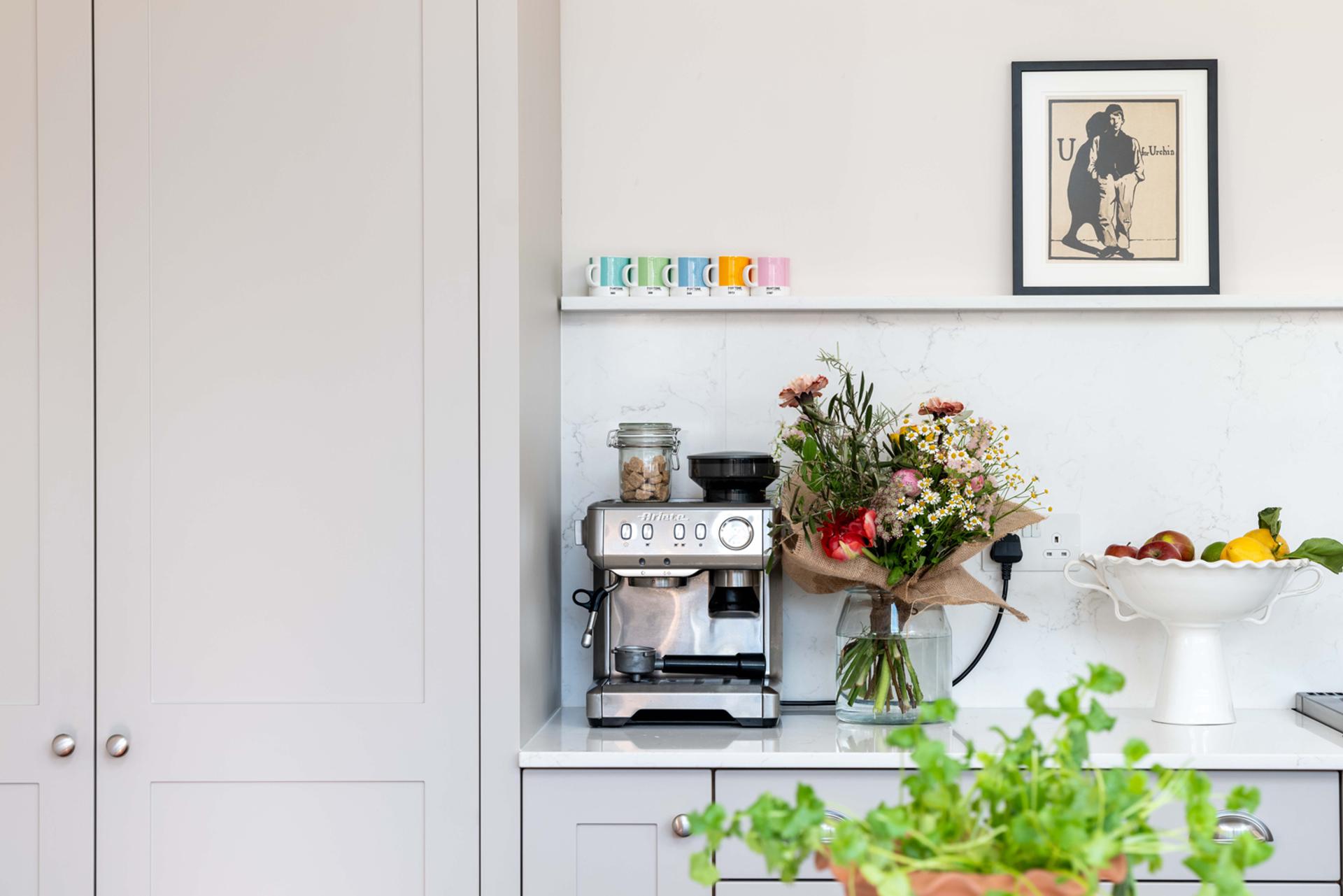 The Beagle House | Intervention Architecture