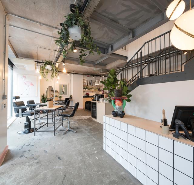 Hazel + Haydn Salon | Intervention Architecture