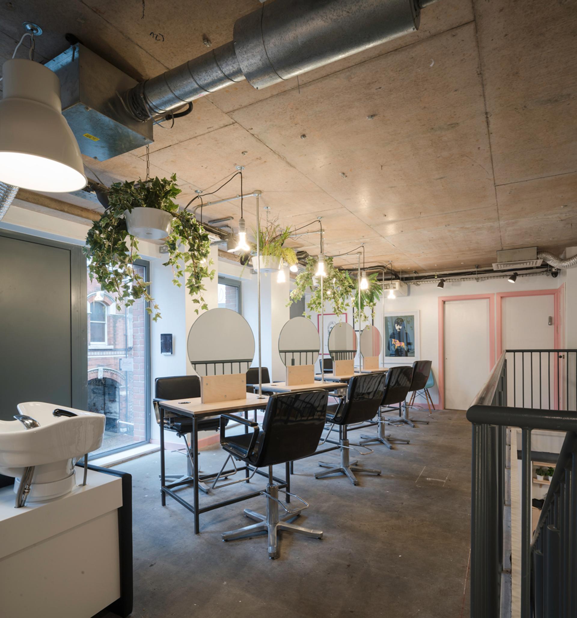 Hazel + Haydn Salon | Intervention Architecture