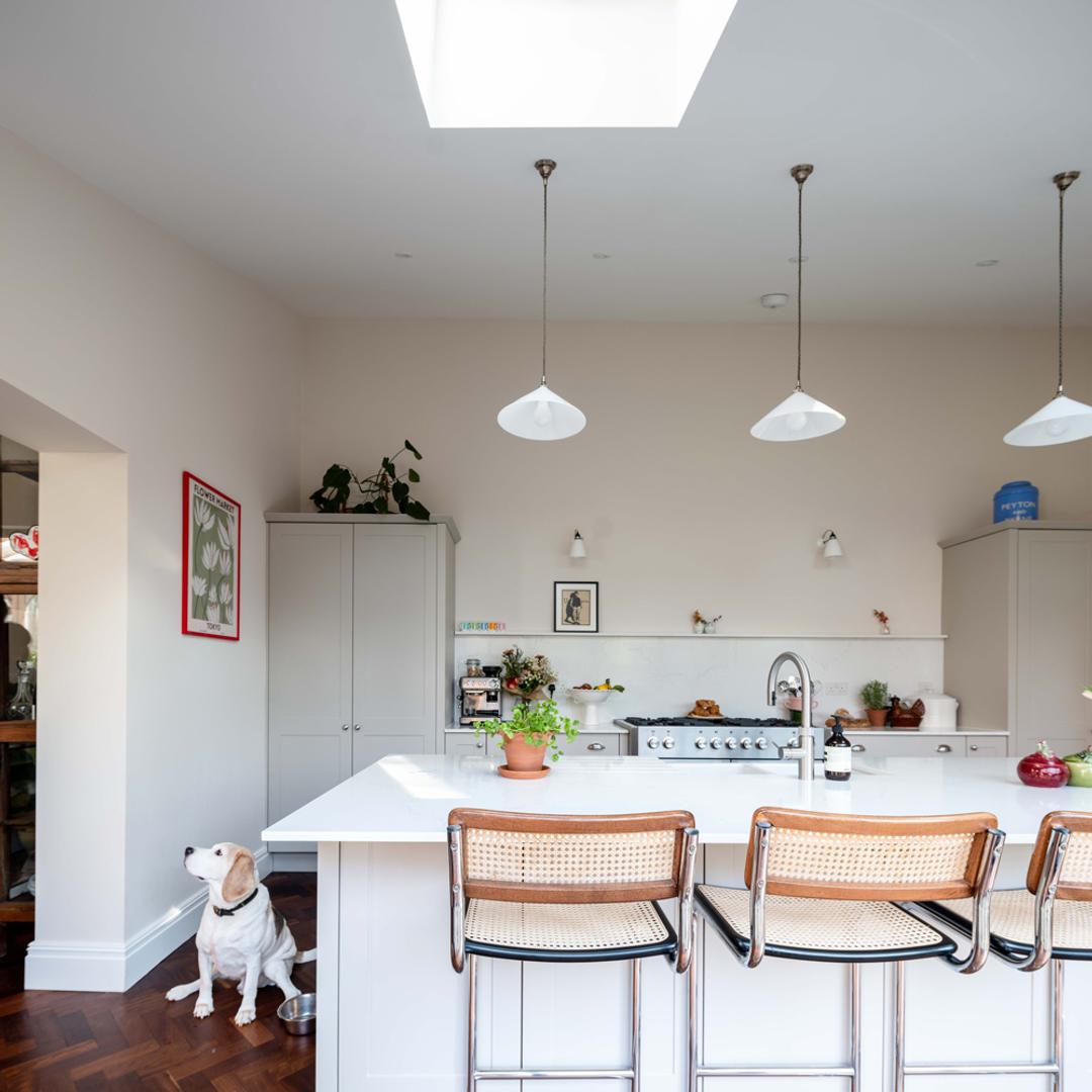 The Beagle House | Intervention Architecture