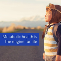 1. Introduction to metabolic health | Metabolic Health Guide