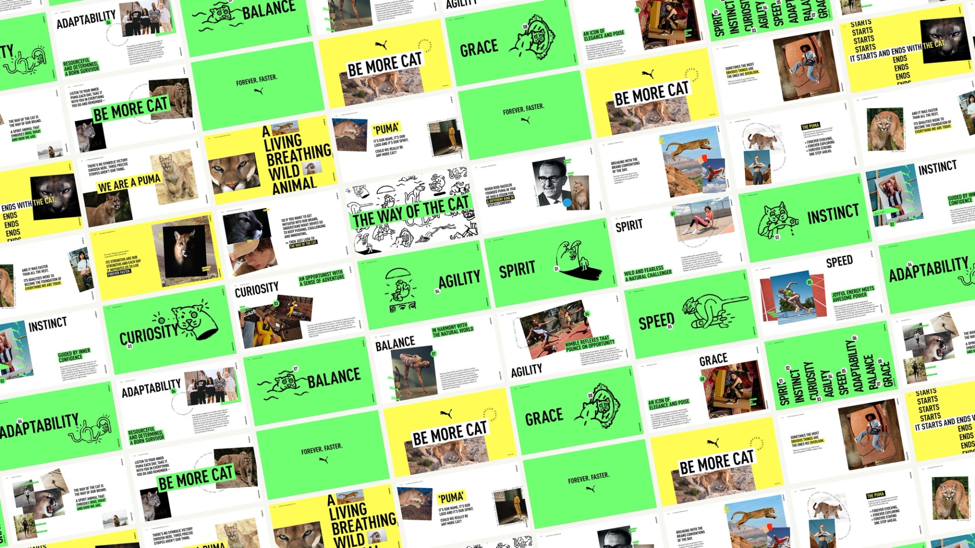 Company Brand Book for PUMA by Our Friends creative agency. | Our Friends