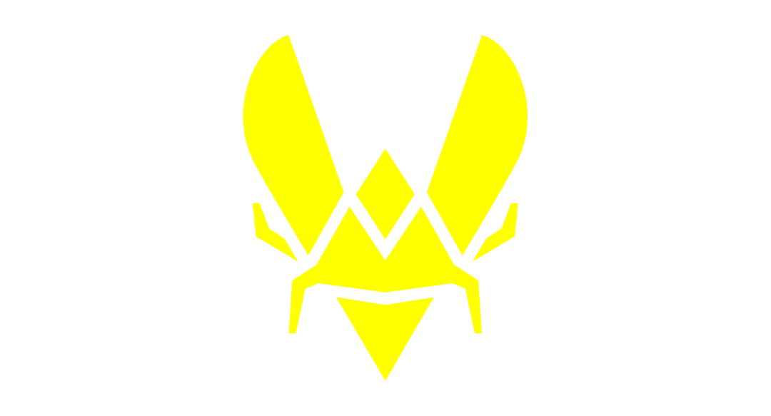 Stake x Team Vitality - Official Counter-Strike 2 Partnership