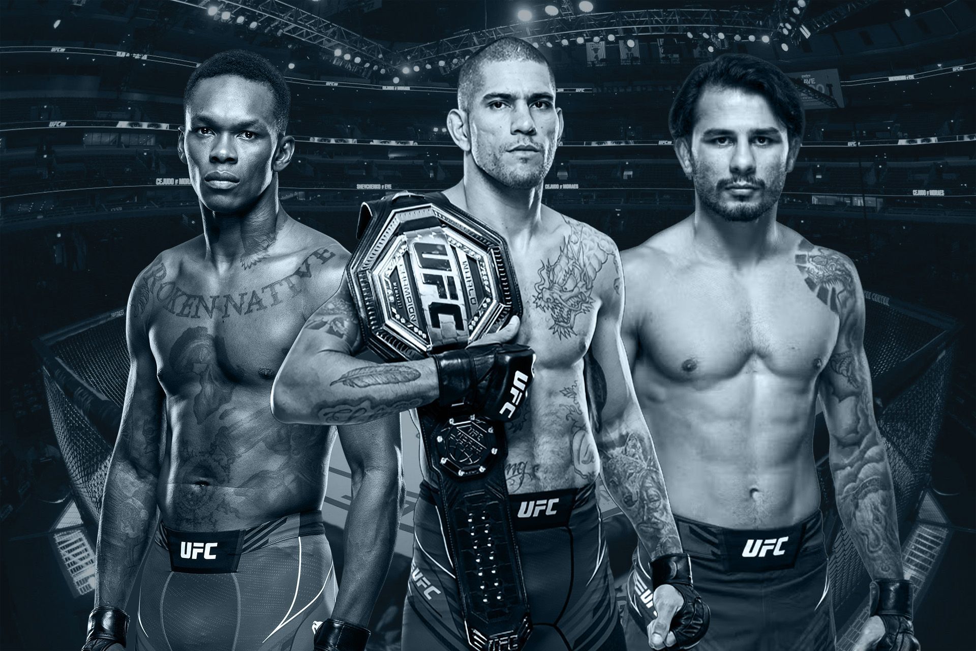 Stake Official UFC Partner - Exclusive UFC Sponsorship